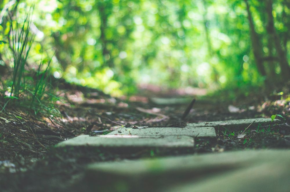 How to choose a career path—and prepare for it | Brainscape Academy