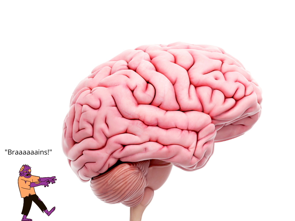 What is Active Recall? How to use it to ace your exams | Brainscape Academy