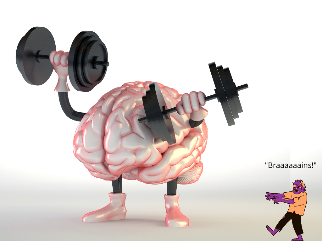 What is Active Recall? How to use it to ace your exams | Brainscape Academy