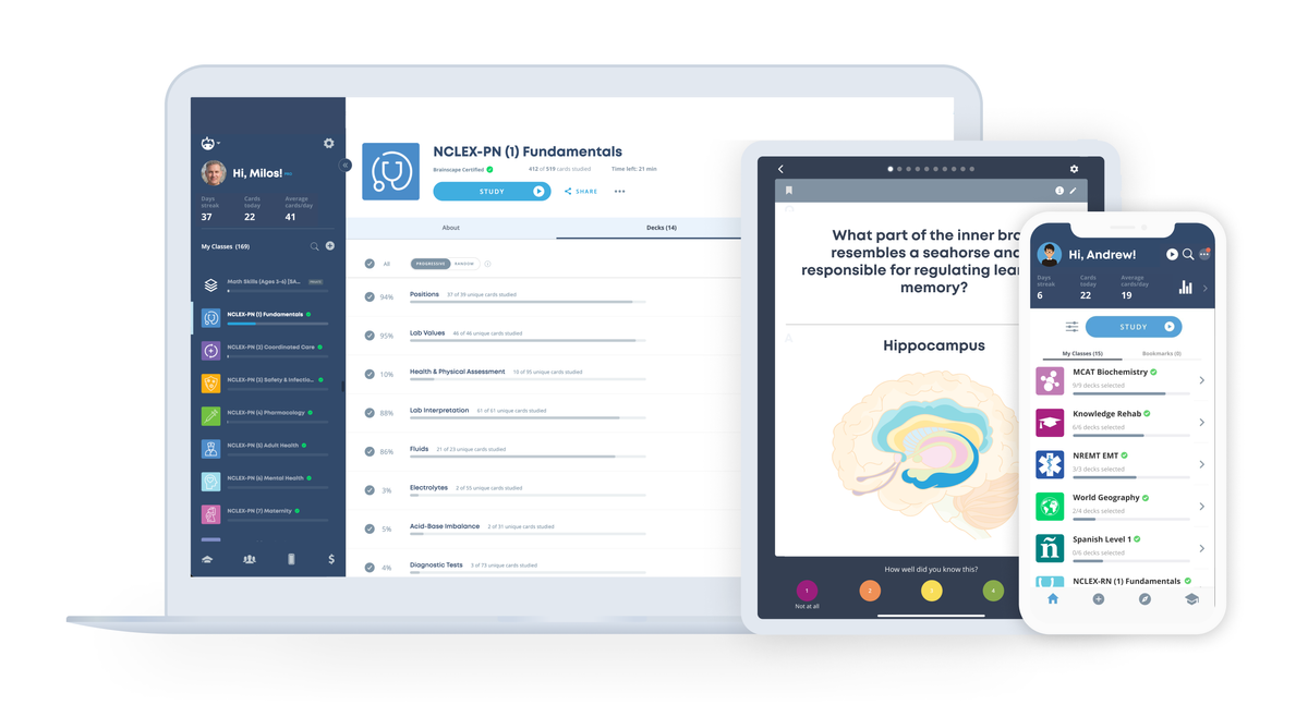 Offer flashcards for your exam in Brainscape | Brainscape Academy