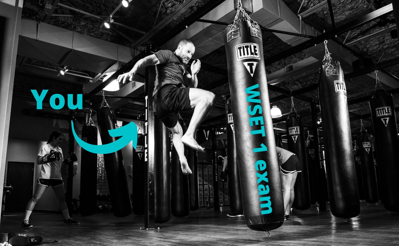 What to expect on the WSET Level 1 wine exam | Brainscape Academy