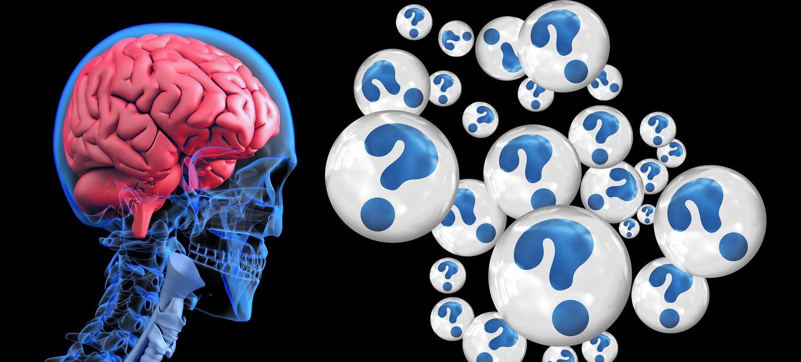 25 Brain facts you should know | Brainscape Academy