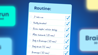 How to create a study routine that maximizes productivity | Brainscape ...