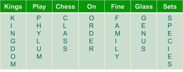Do mnemonics and other memorization techniques really work ...